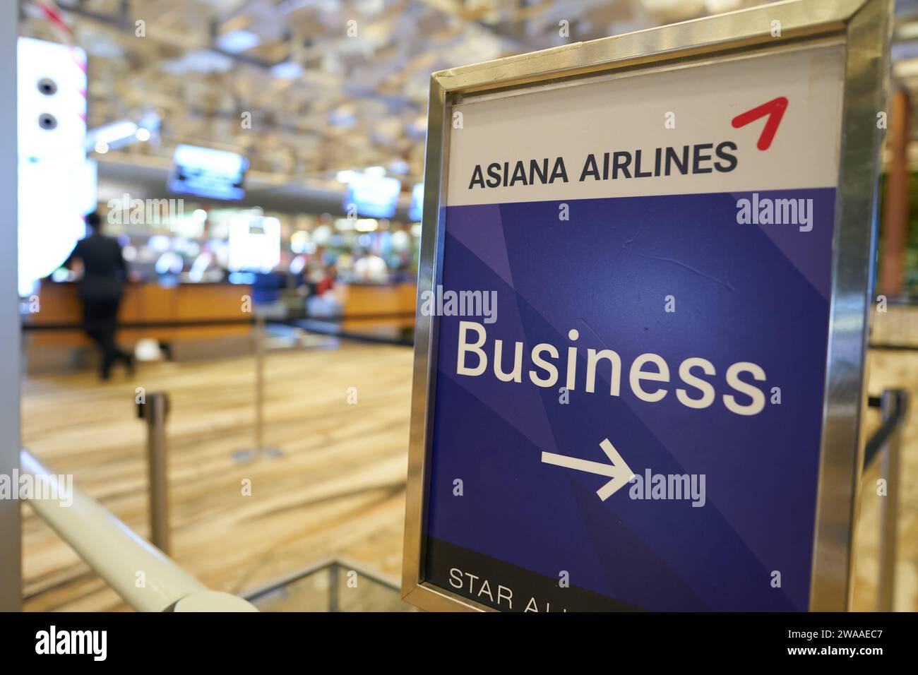 SINGAPORE - NOVEMBER 06, 2023: Asiana Airlines check-in area in ...