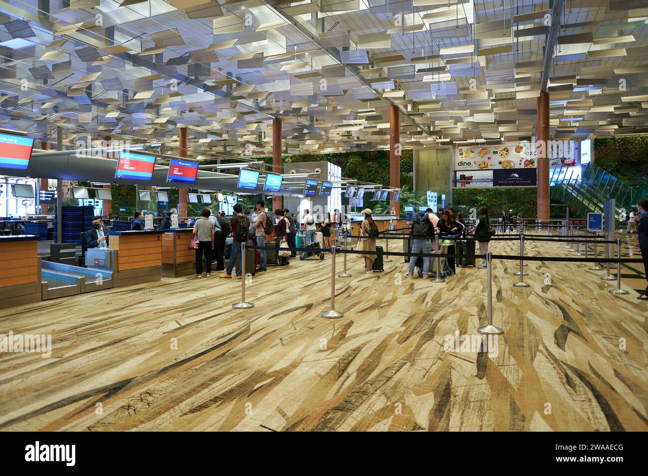 SINGAPORE - NOVEMBER 06, 2023: check-in area in Singapore Changi ...