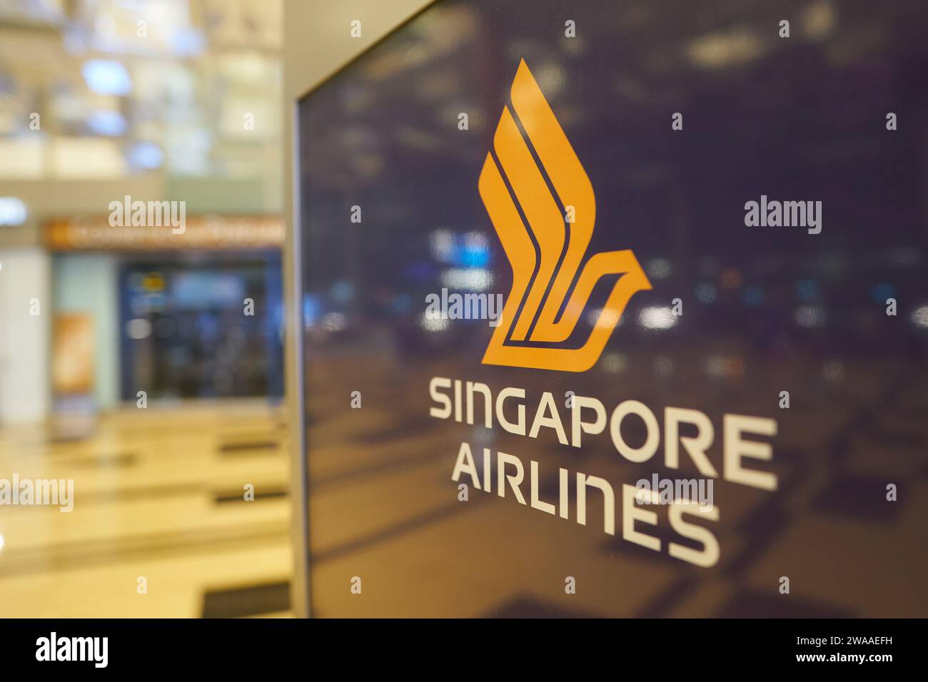 SINGAPORE - NOVEMBER 07, 2023: Singapore Airlines business class check ...