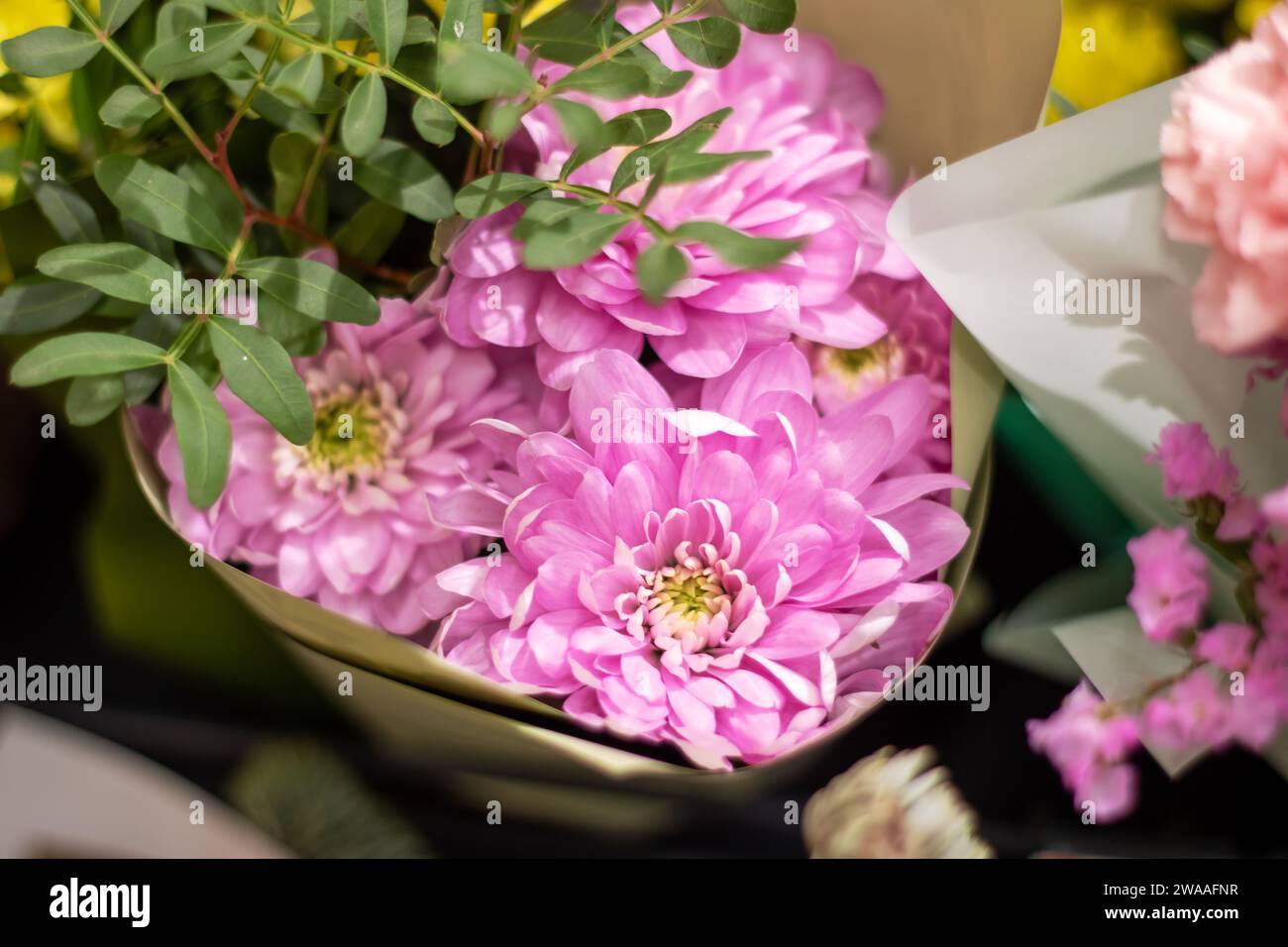 Flowers in a gift pack close up, background Stock Photo - Alamy