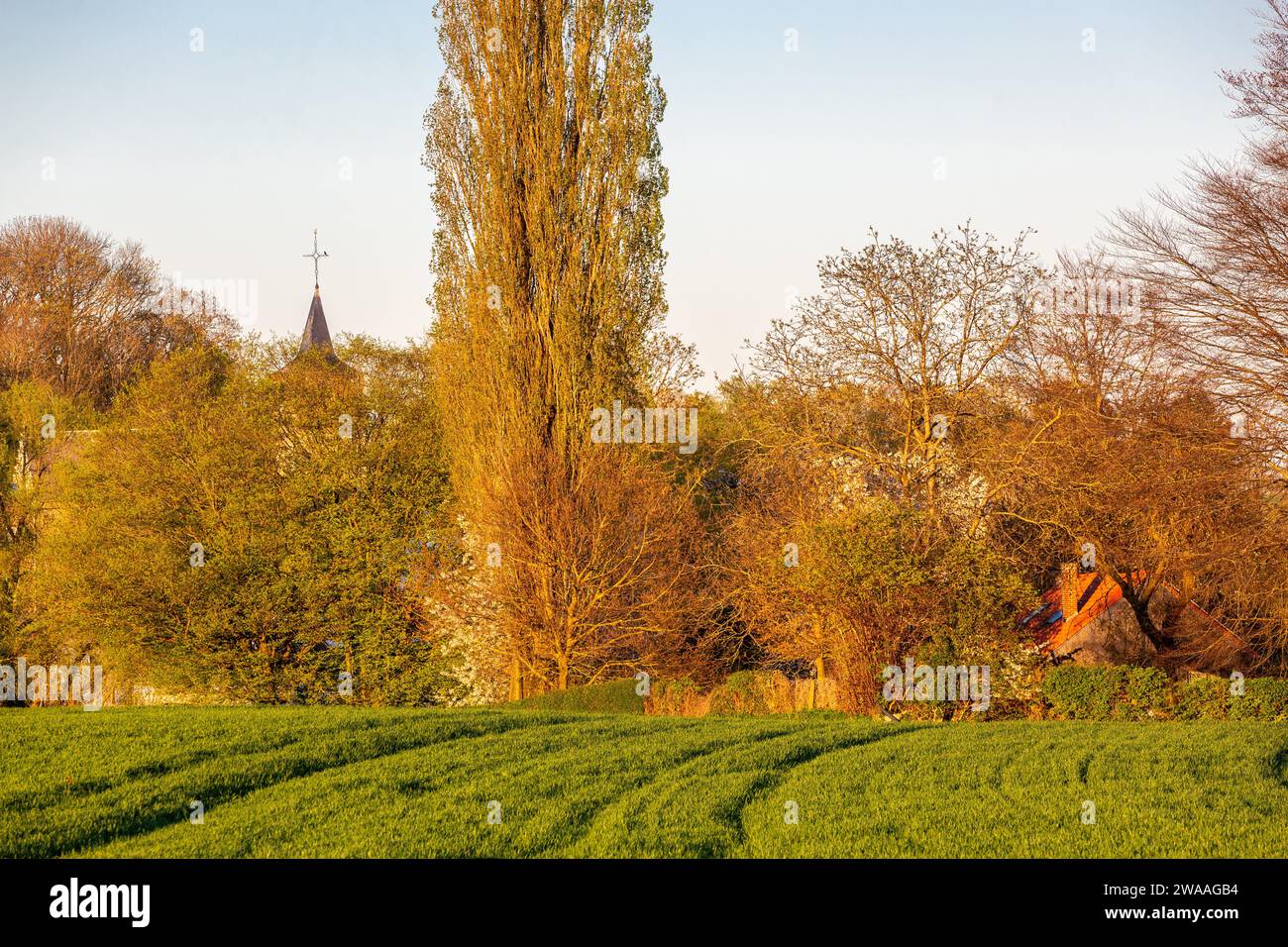 Farm bell hi-res stock photography and images - Alamy