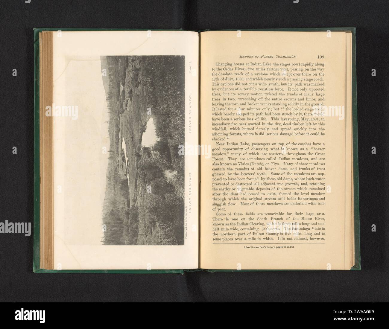 Snowy Mountain. Beaver Meadows, Seneca Ray Stoddard, 1891 ...