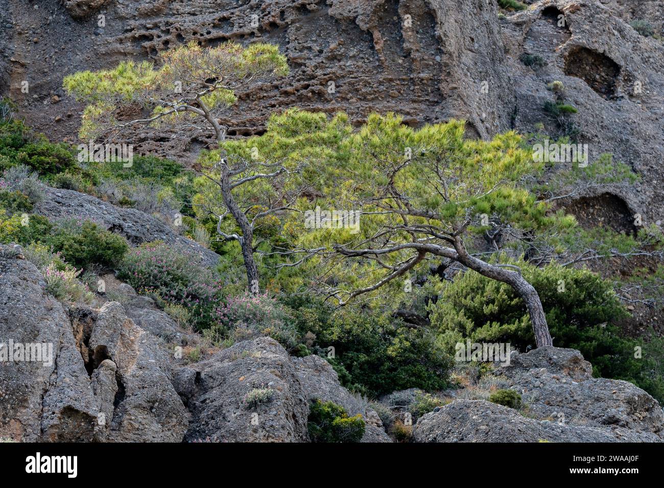 Curved rocks hi-res stock photography and images - Alamy