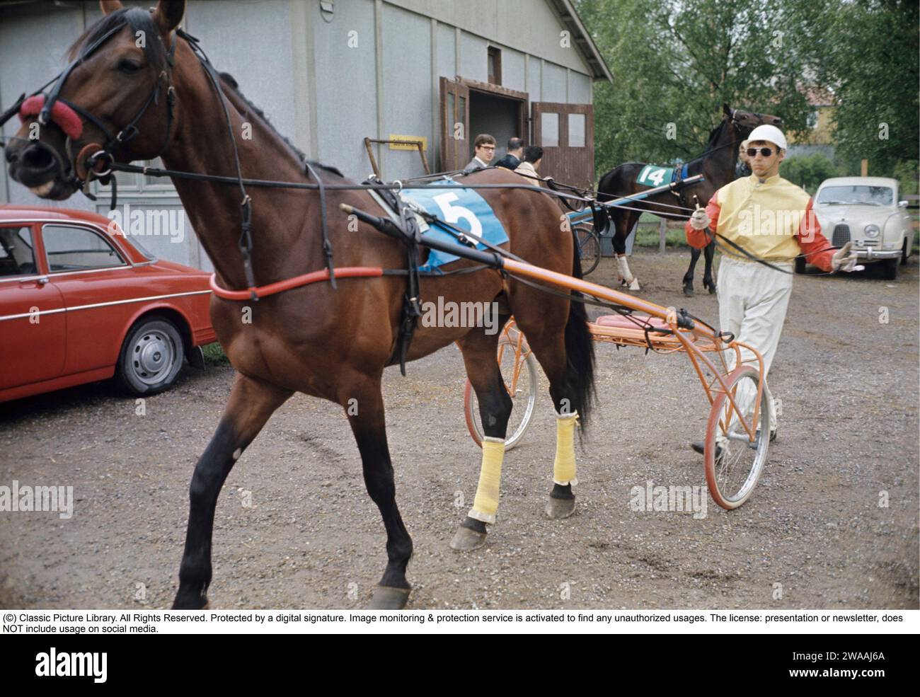Olle Elfstrand. Swedish trotting trainer and jockey. During his career ...