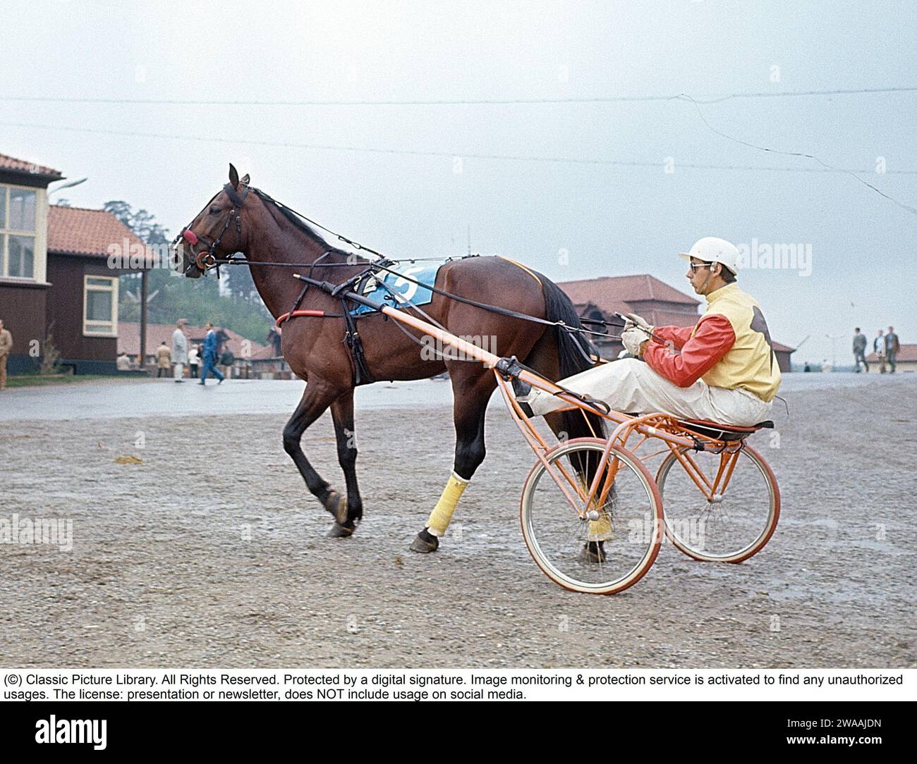 Sulky horse hi-res stock photography and images - Alamy