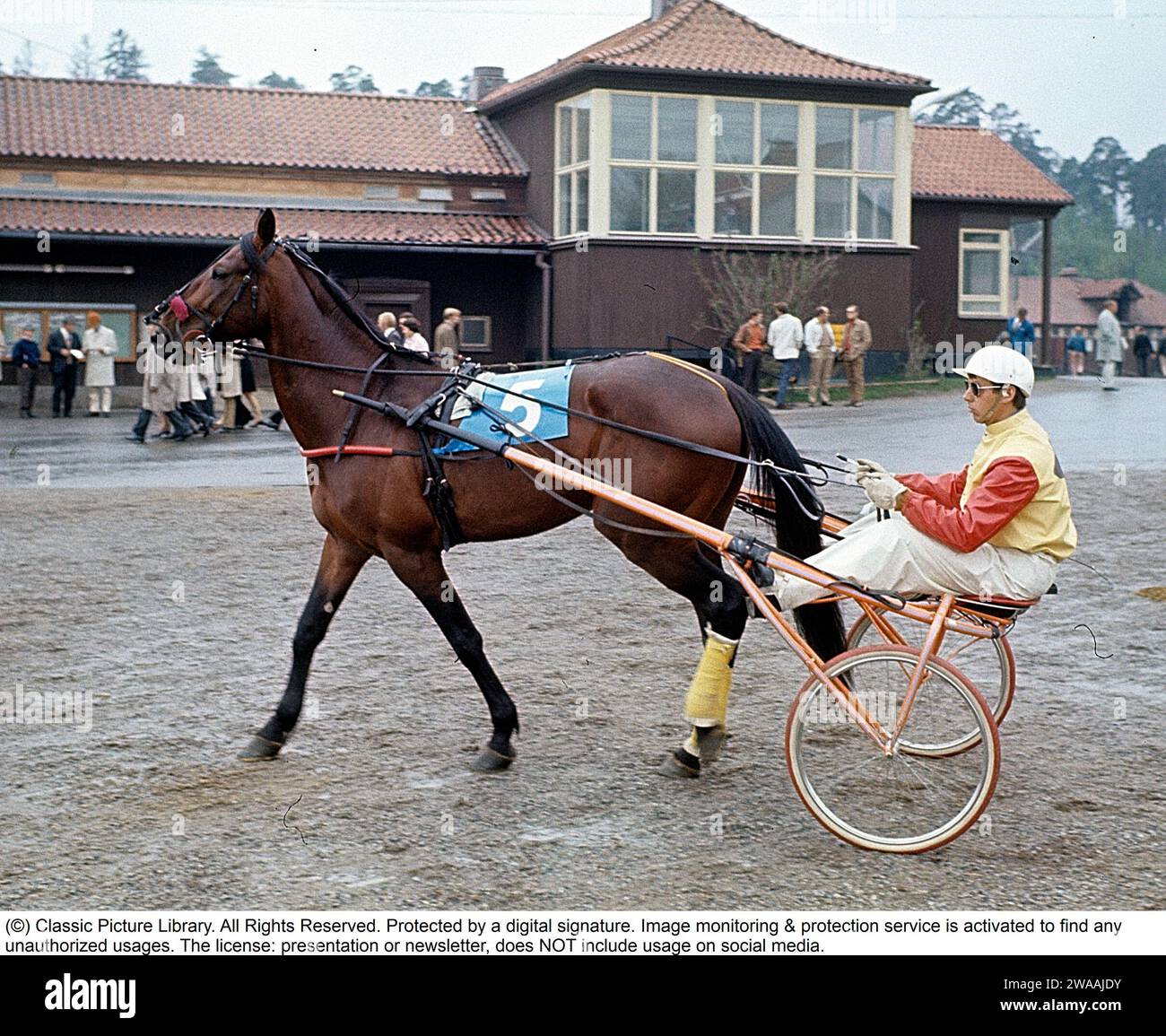 Olle Elfstrand. Swedish trotting trainer and jockey. During his career ...