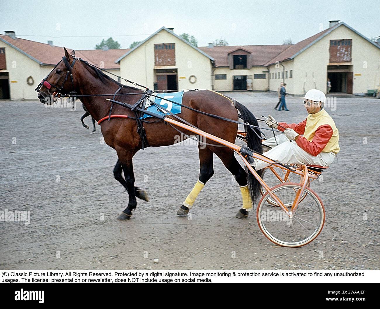 Olle Elfstrand. Swedish trotting trainer and jockey. During his career ...