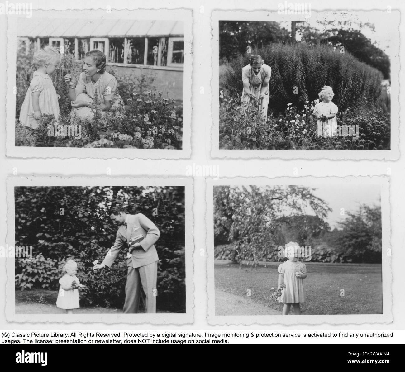 Queen Margrethe II of Denmark. Pictured with her mother Queen Ingrid ...