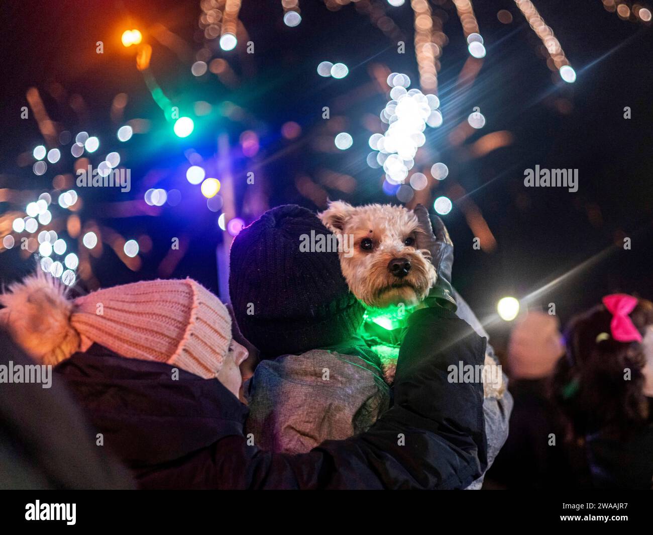 pic shows: New Year’s Eve at St Ives in Cornwall Dog owners protect the ...
