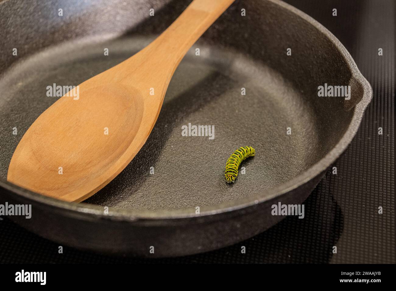 Ready to cook Stock Photo - Alamy