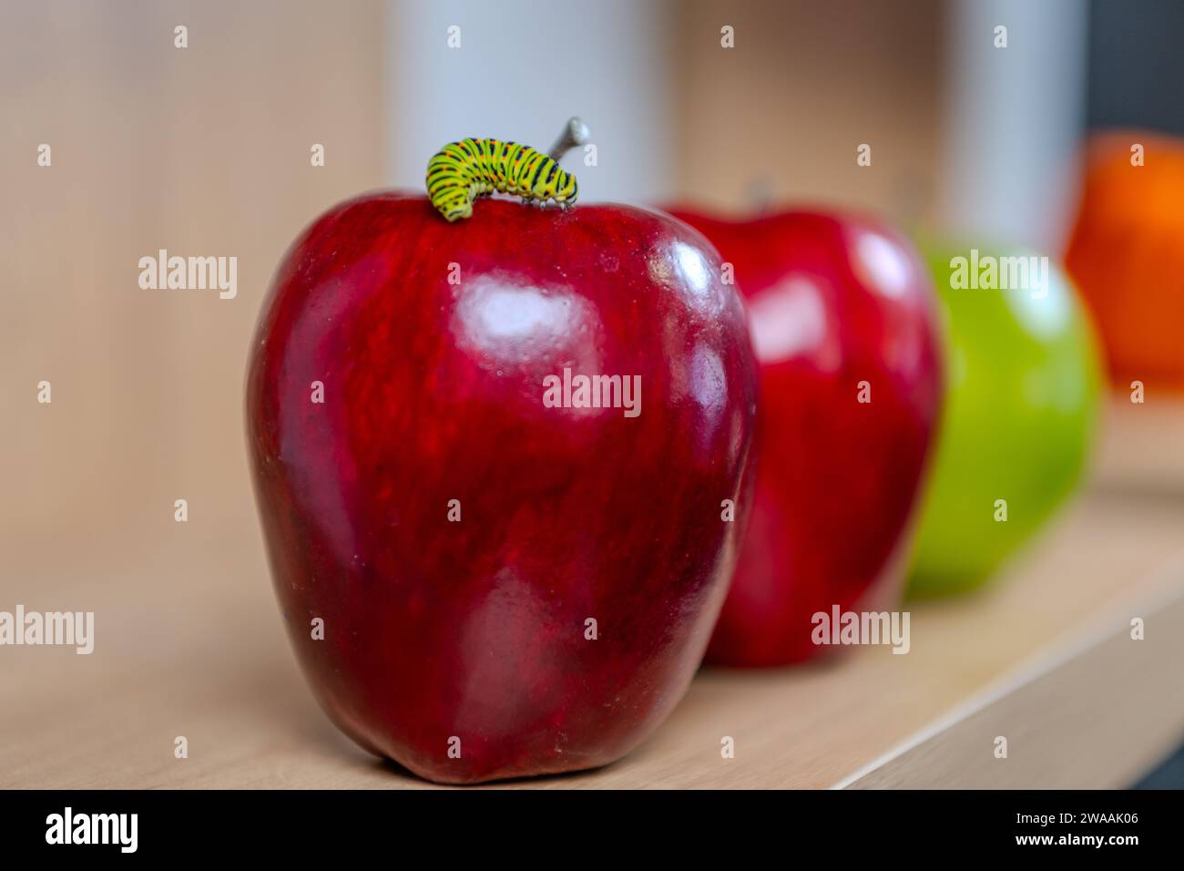 Apple grub hi-res stock photography and images - Alamy