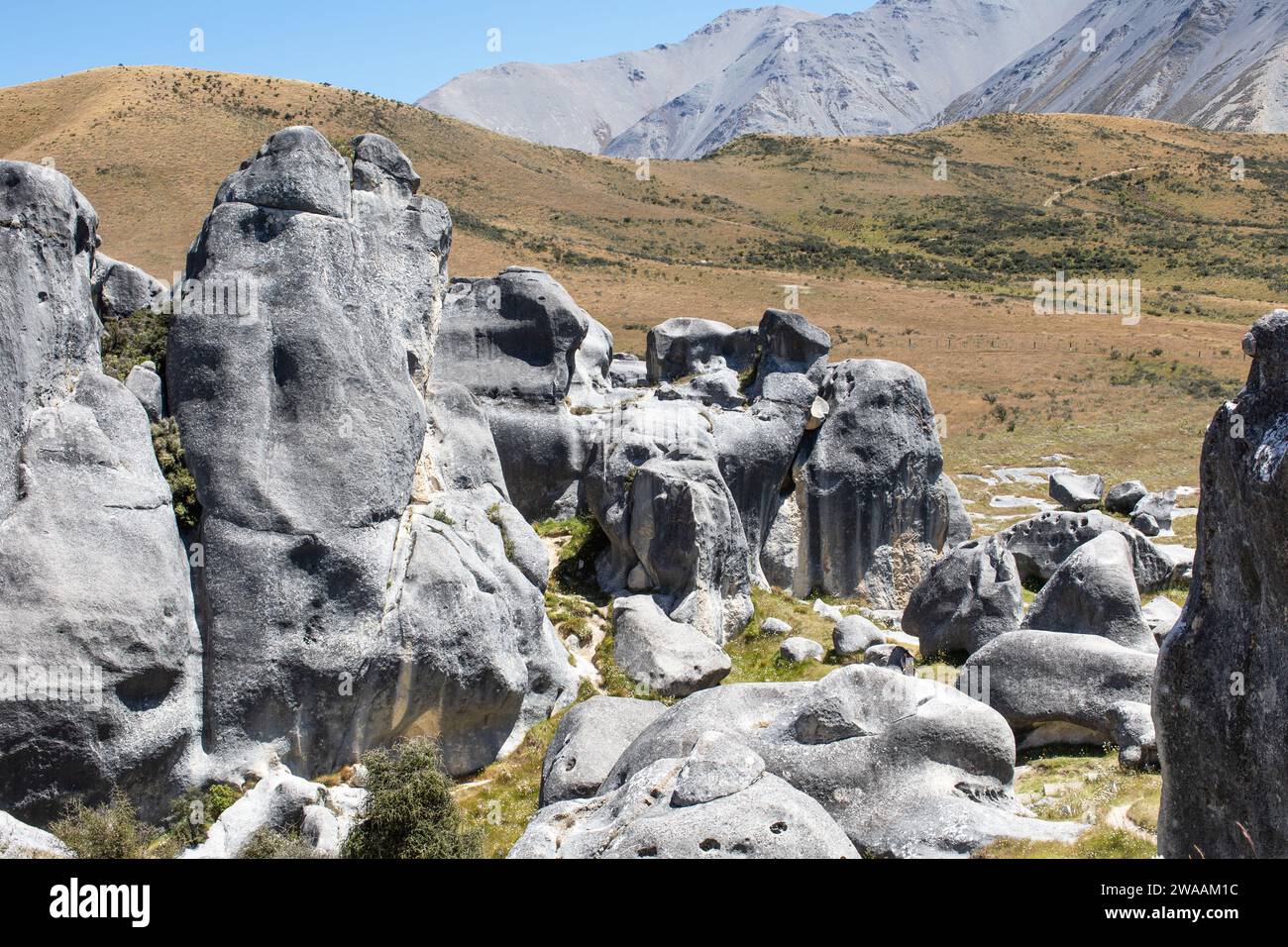 Large natural stones in Castle Hill Nature Park, New Zealand. Tourist ...