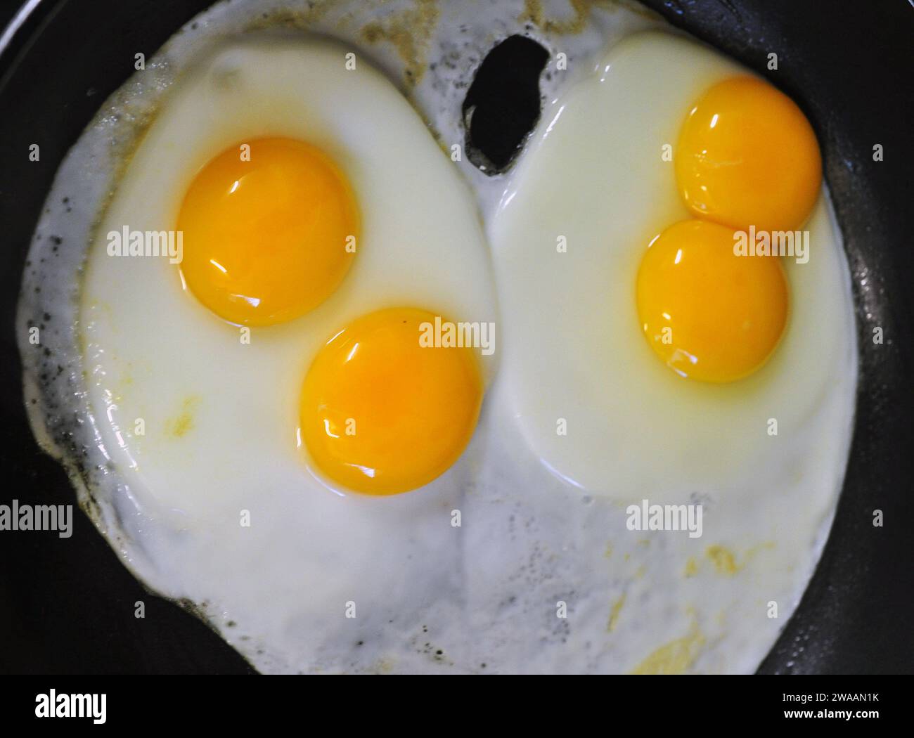 Double yolk eggs Stock Photo - Alamy