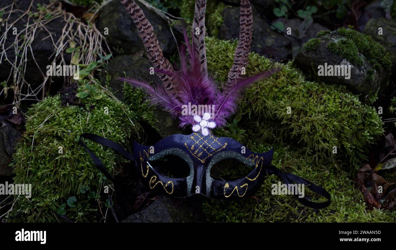 A carnival mask on moss covered stones Stock Photo - Alamy