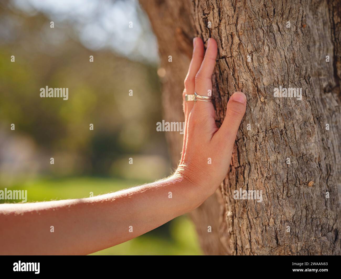 Woman eating tree bark hi-res stock photography and images - Alamy