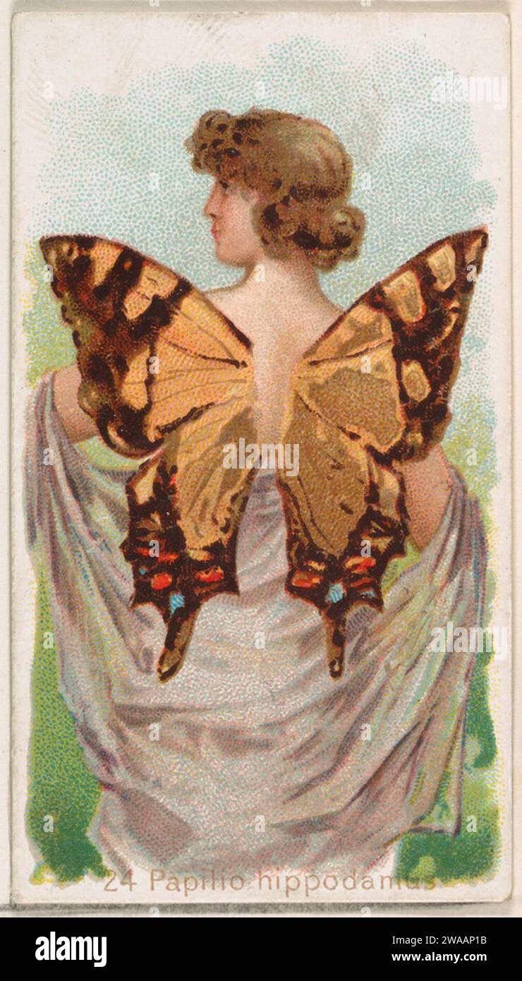 Hippodamus hi-res stock photography and images - Alamy