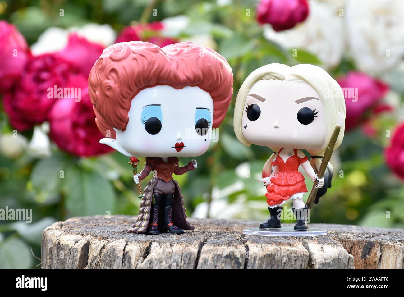 Funko Pop action figures of DC superhero Harley Quinn and Red Queen ...
