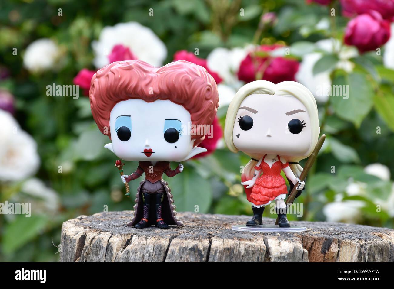 Funko Pop action figures of DC superhero Harley Quinn and Red Queen ...