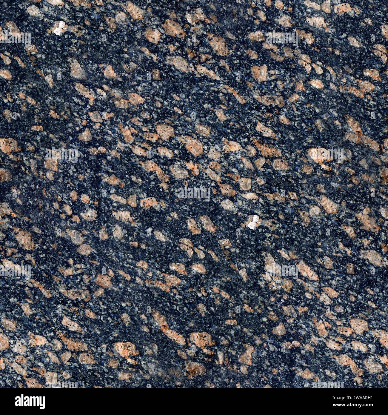 Spotted texture hi-res stock photography and images - Alamy