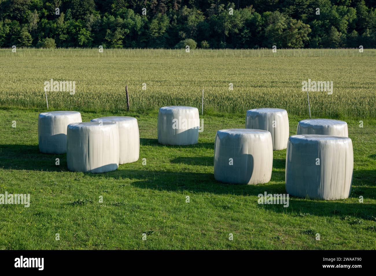 Bales shrink wrapped in hi-res stock photography and images - Alamy
