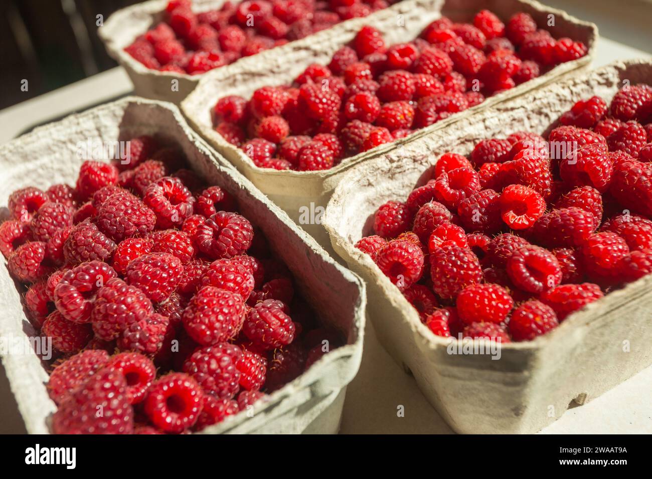 Fresh red raspberries in paper market containers Stock Photo - Alamy
