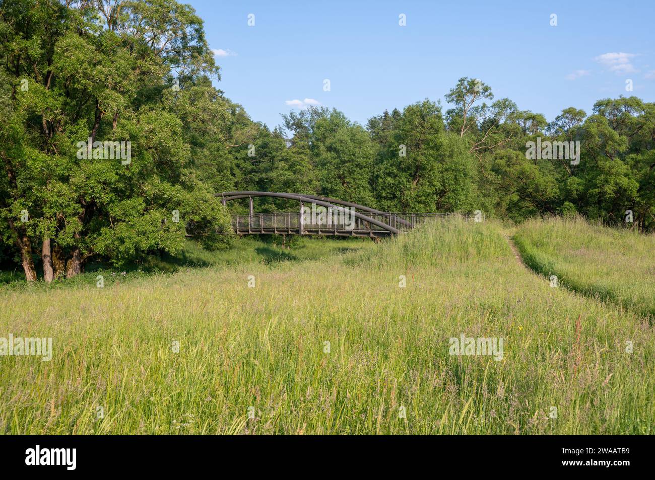 A pedestrian bridge over the Eder river in Germany, with green nature ...