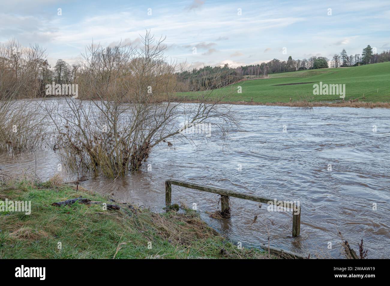 Flooding scotland borders hi-res stock photography and images - Alamy