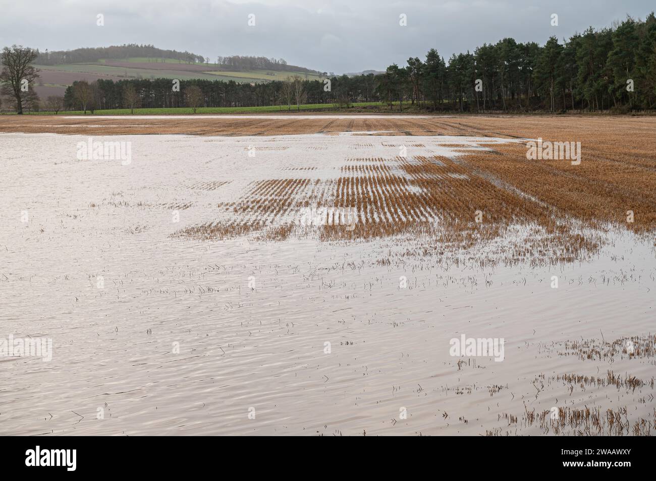 Flooding scotland borders hi-res stock photography and images - Alamy