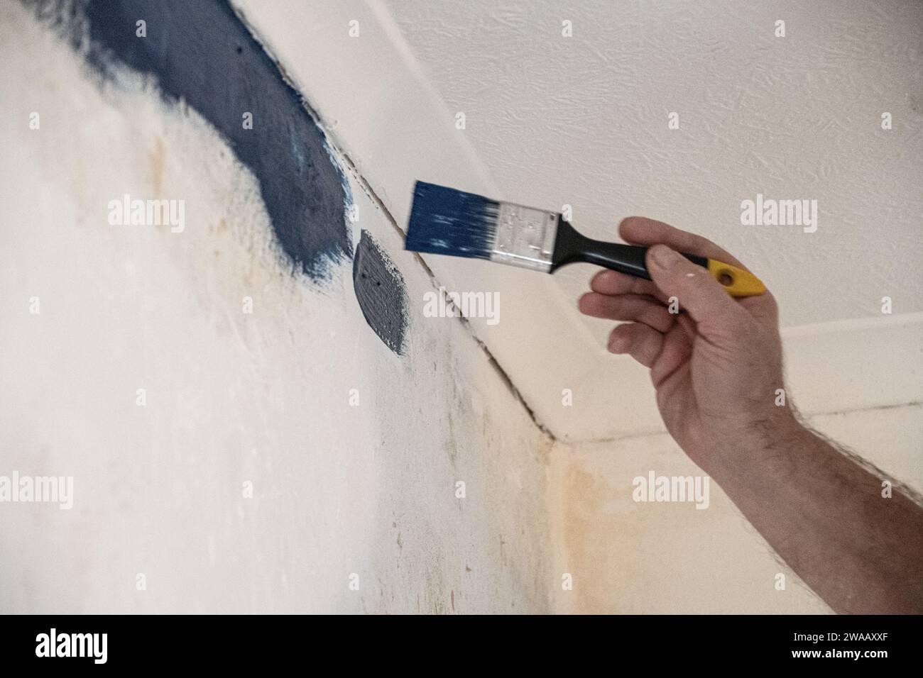 Home improvement home renovation hi-res stock photography and images - Alamy