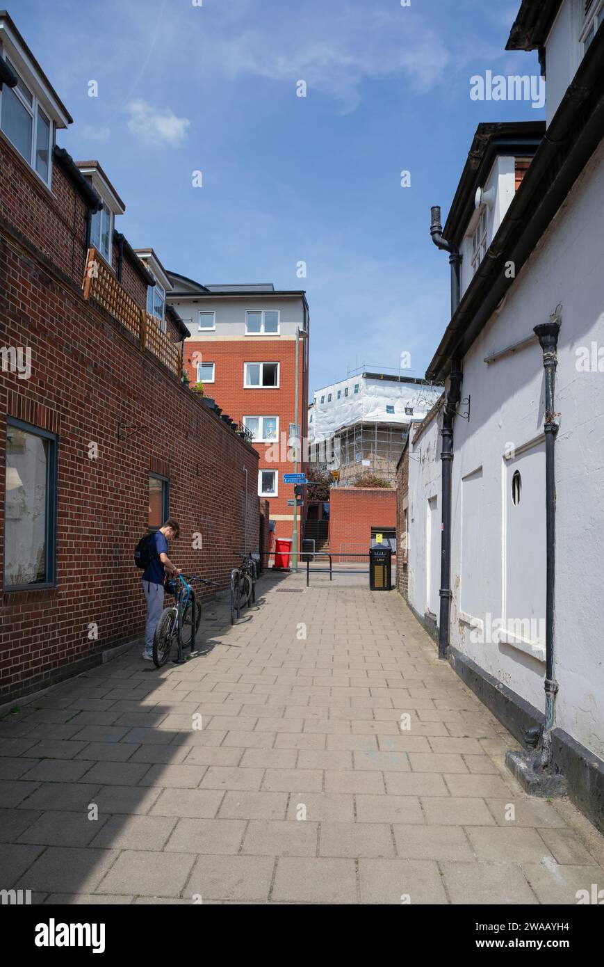Back alley bins hi-res stock photography and images - Alamy