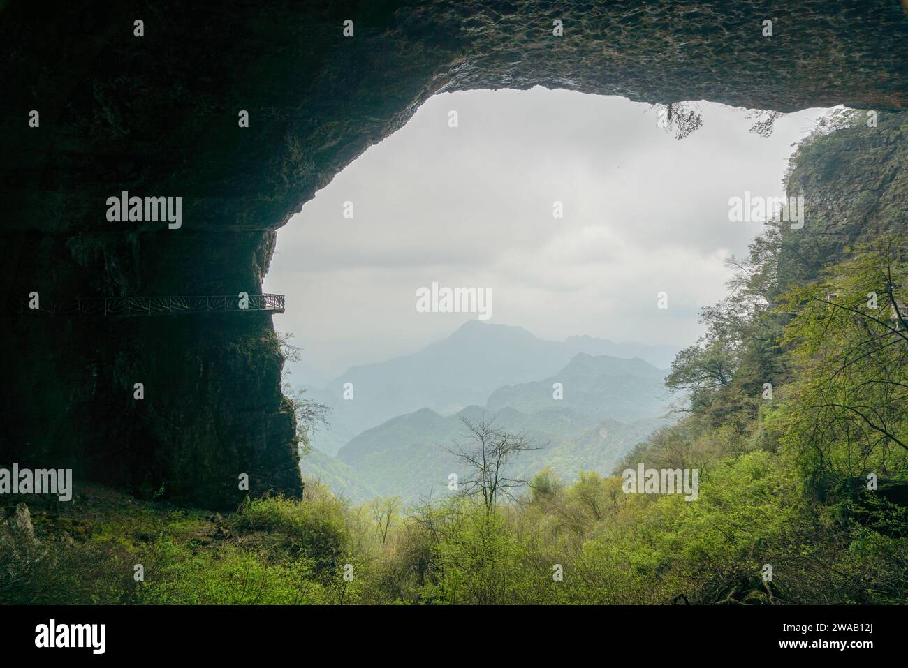 Swallow Cave is named after the Himalayan swiftlets that live in it ...