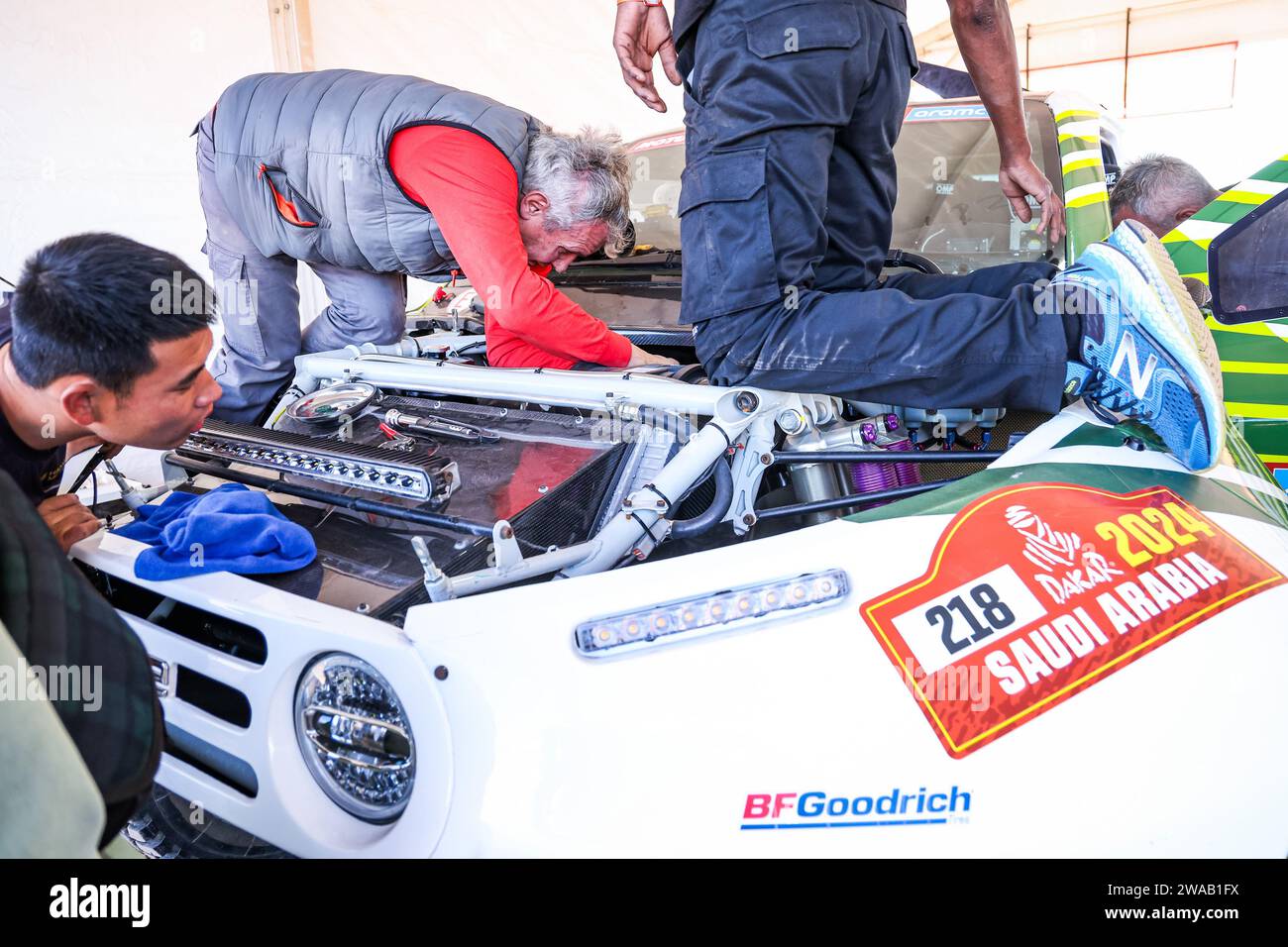218 HAN Wei (chn), MA Li (chn), Hanwei Motorsport Team, Red-Lined ...