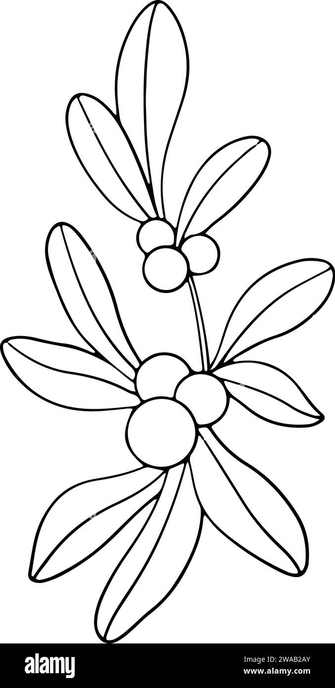 Symphoricarpos, commonly known as the snowberry, waxberry, or ...