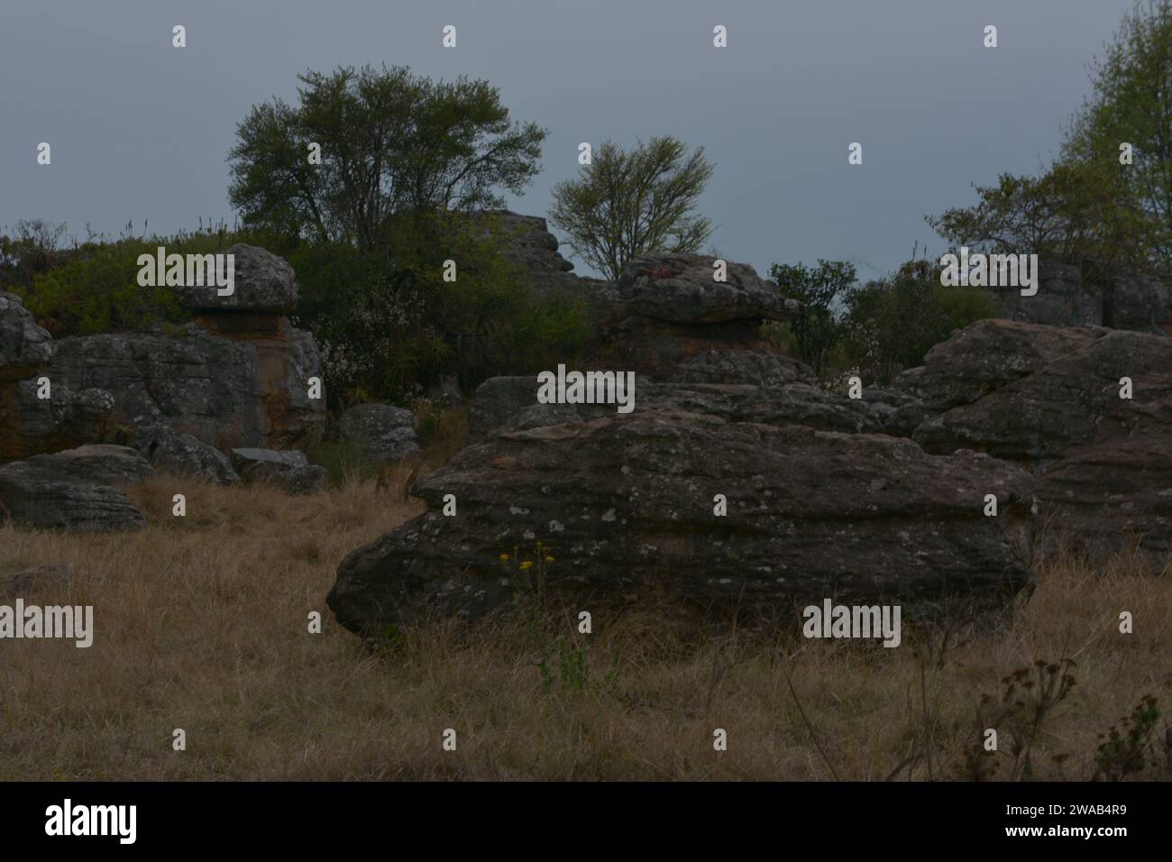 Unusual rock formations gratings the fantastic landscape of Kaapsehoop ...