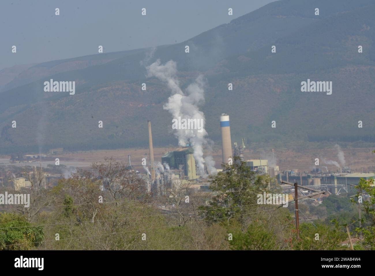 Massive wood factory in a pane forest,Massive wood factory in a pane ...