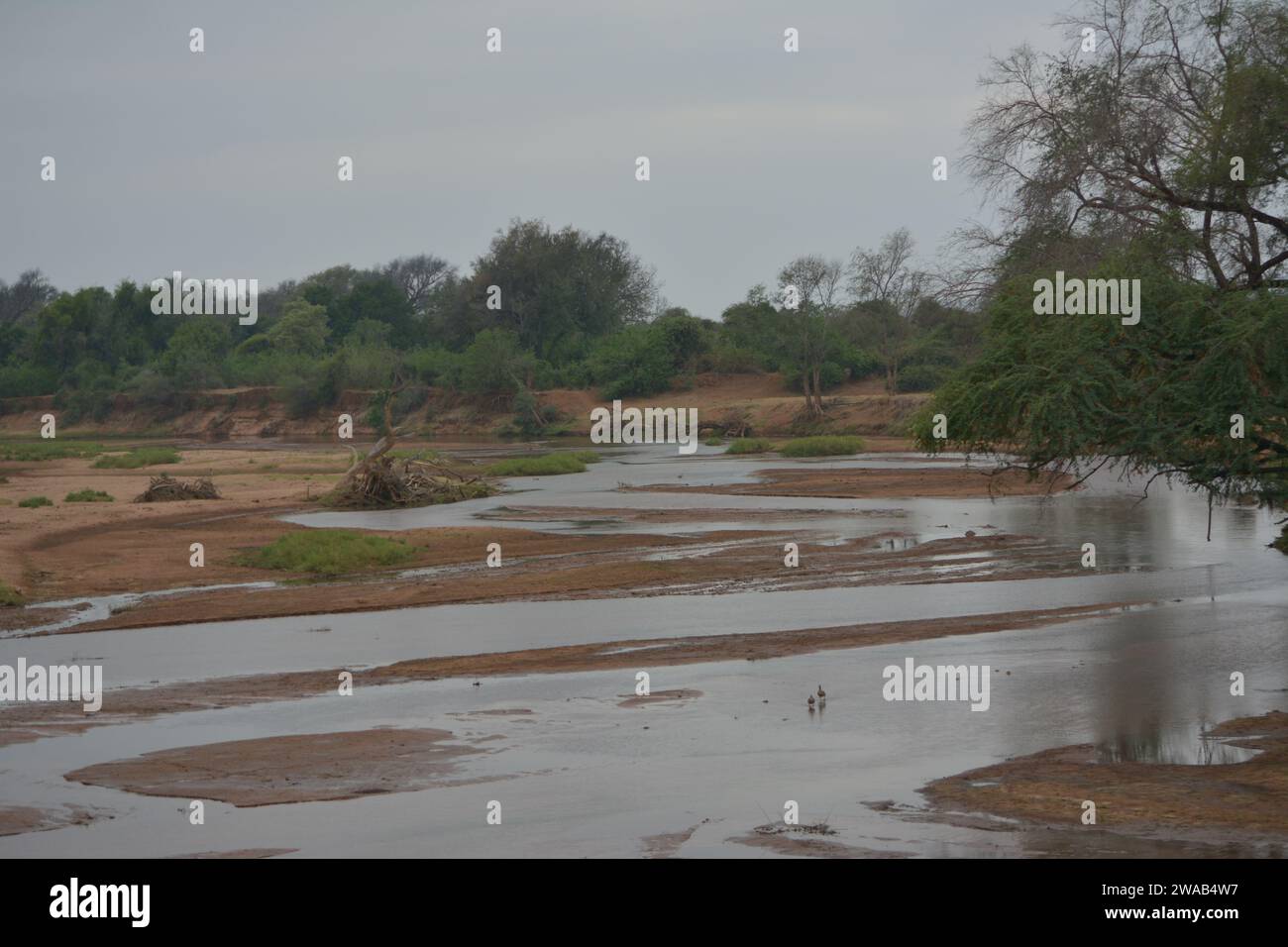 The mighty Limpopo river in Kruger National Park South Africa the ...