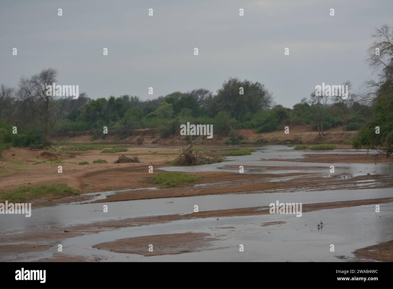 The mighty Limpopo river in Kruger National Park South Africa The ...