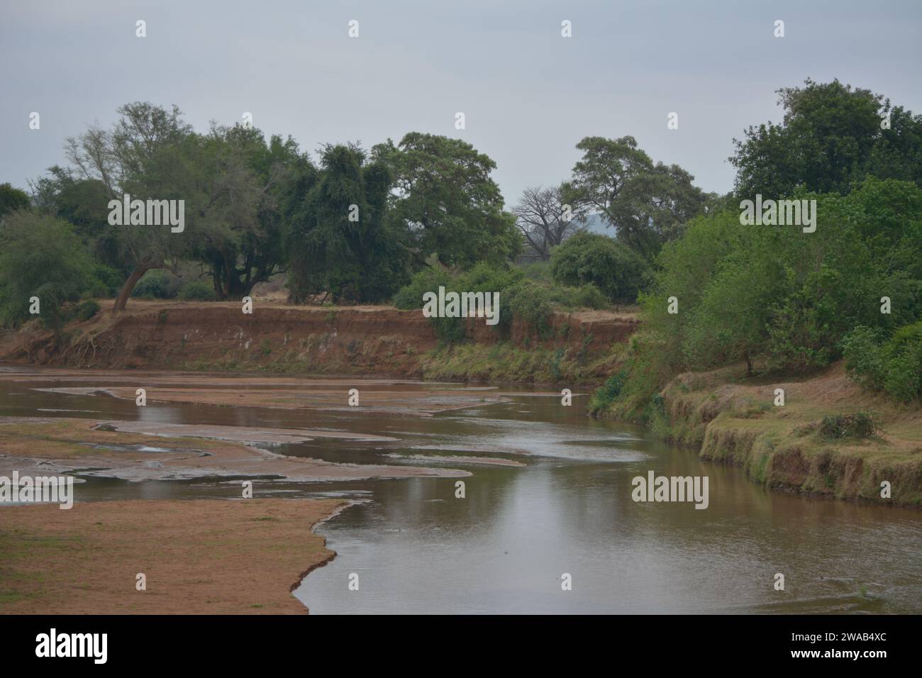 The mighty,Limpopo river in,Kruger National Park,South Africa the mathy ...