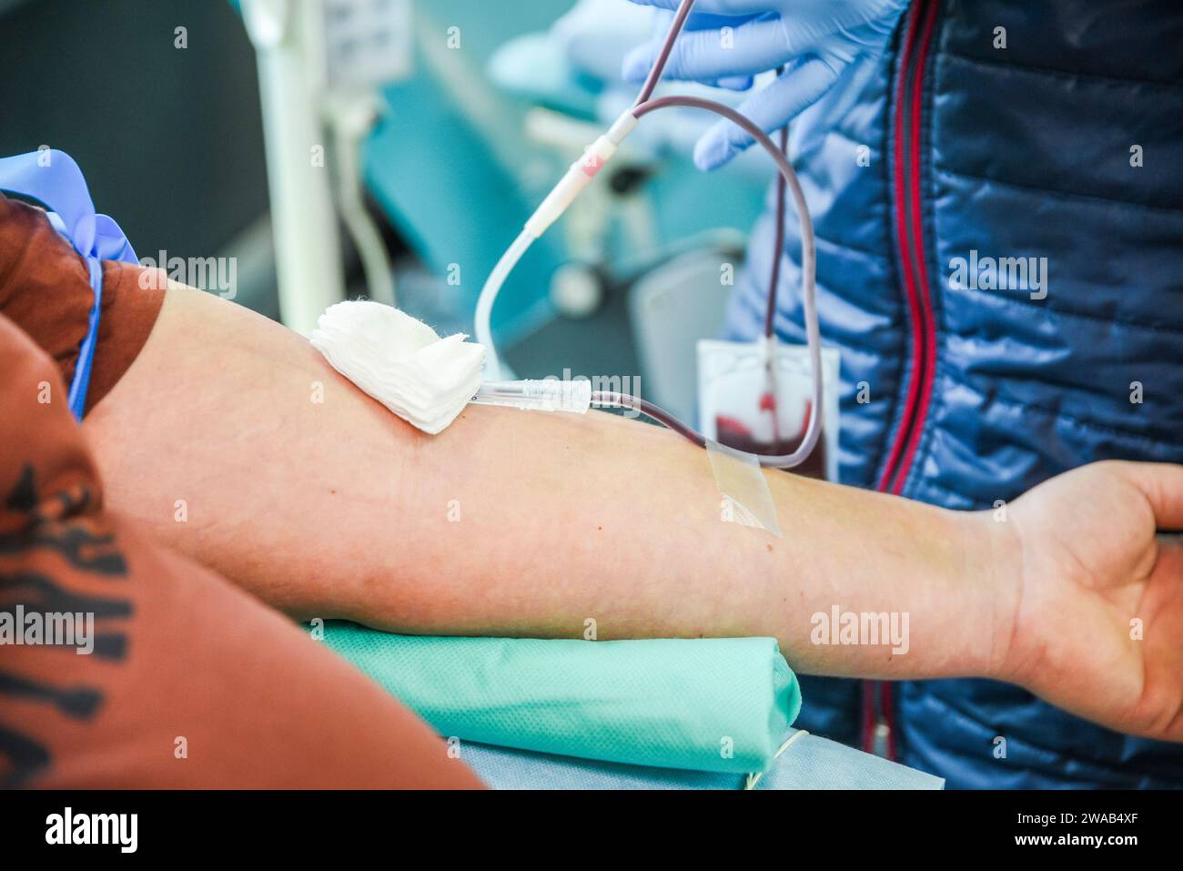 Collecting a blood sample hi-res stock photography and images - Alamy
