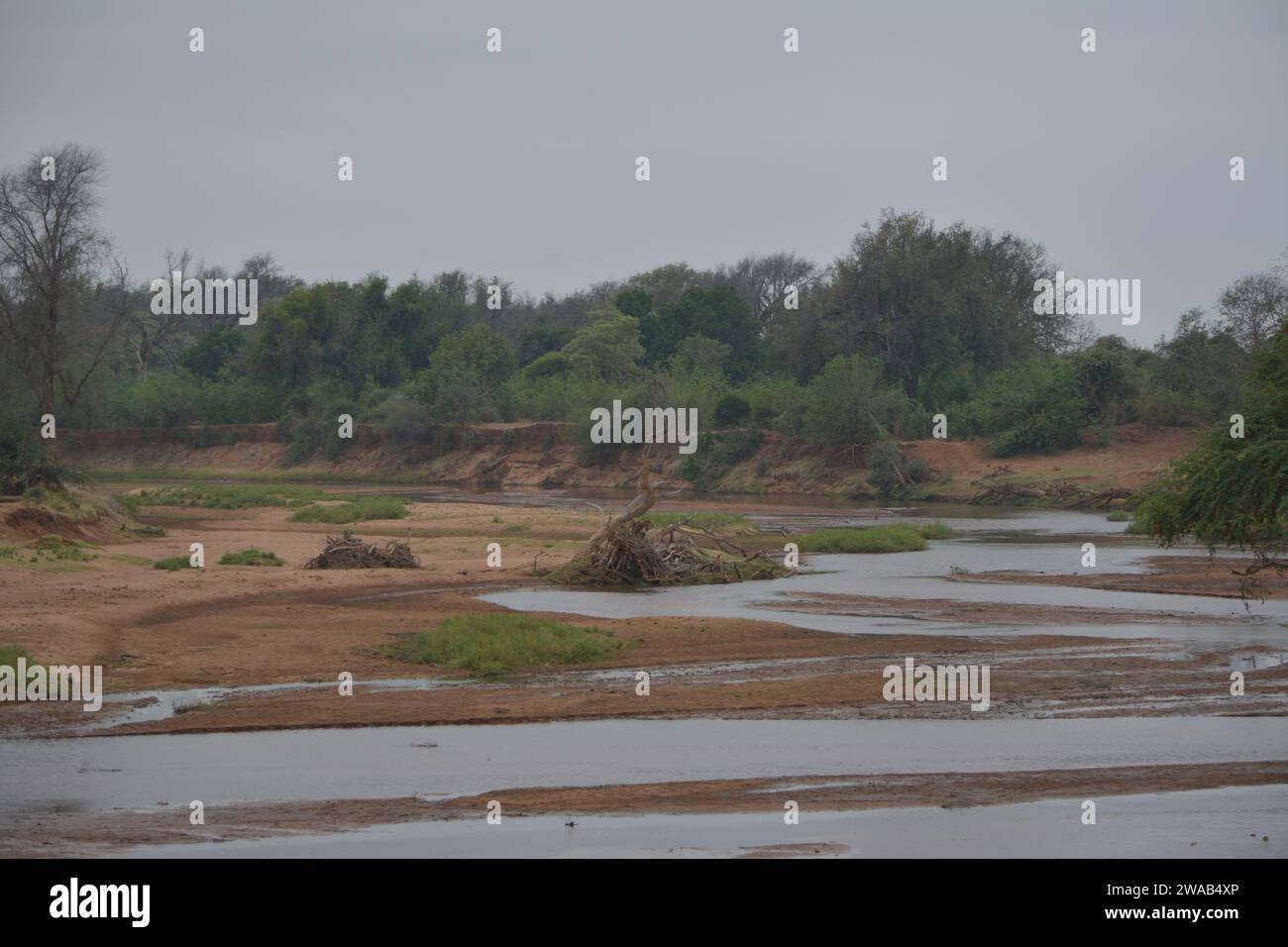 The mighty,Limpopo river in Kruger National Park,South Africa.the Limpopo river is a absolute ...