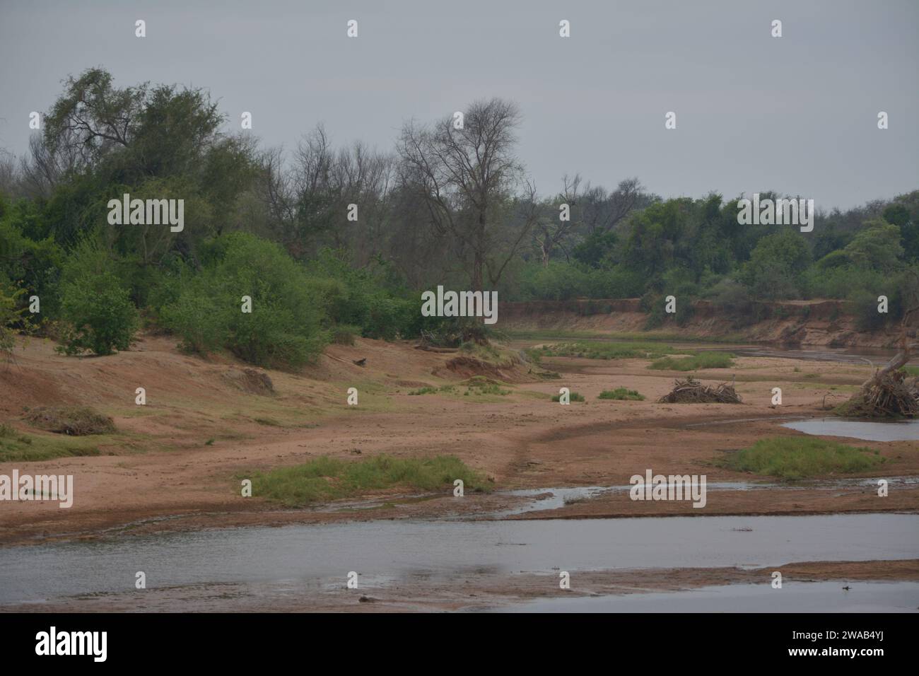 The mighty,Limpopo river in Kruger National Park,South africa ,The ...