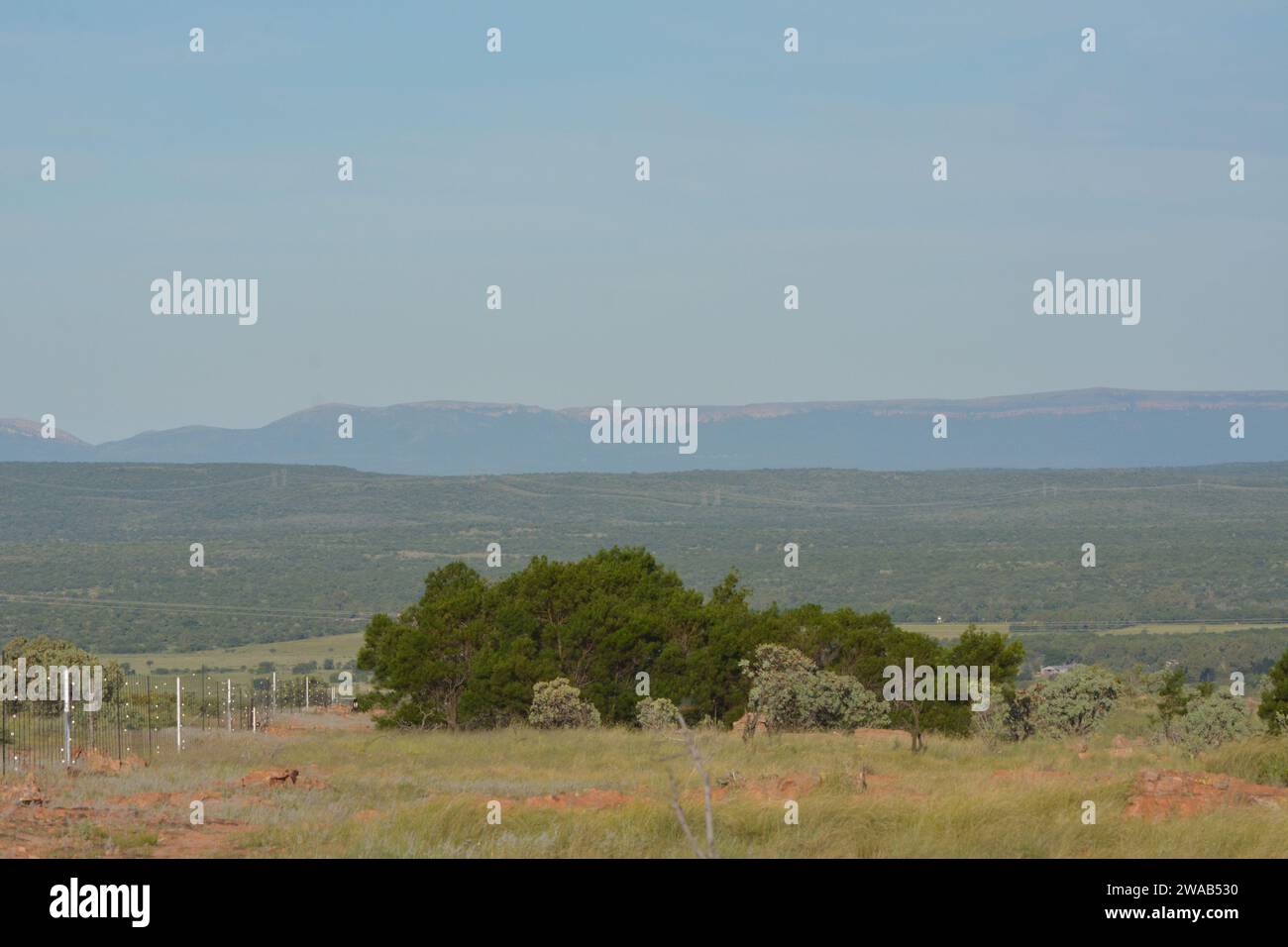 Mountainous area with lots of bush in the fore front, Mpumalanga in ...