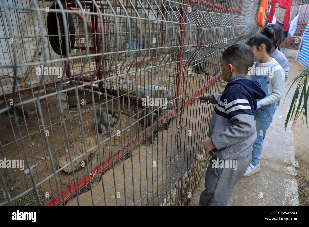Gaza. 2nd Jan, 2024. Children visit a private zoo in the southern Gaza ...