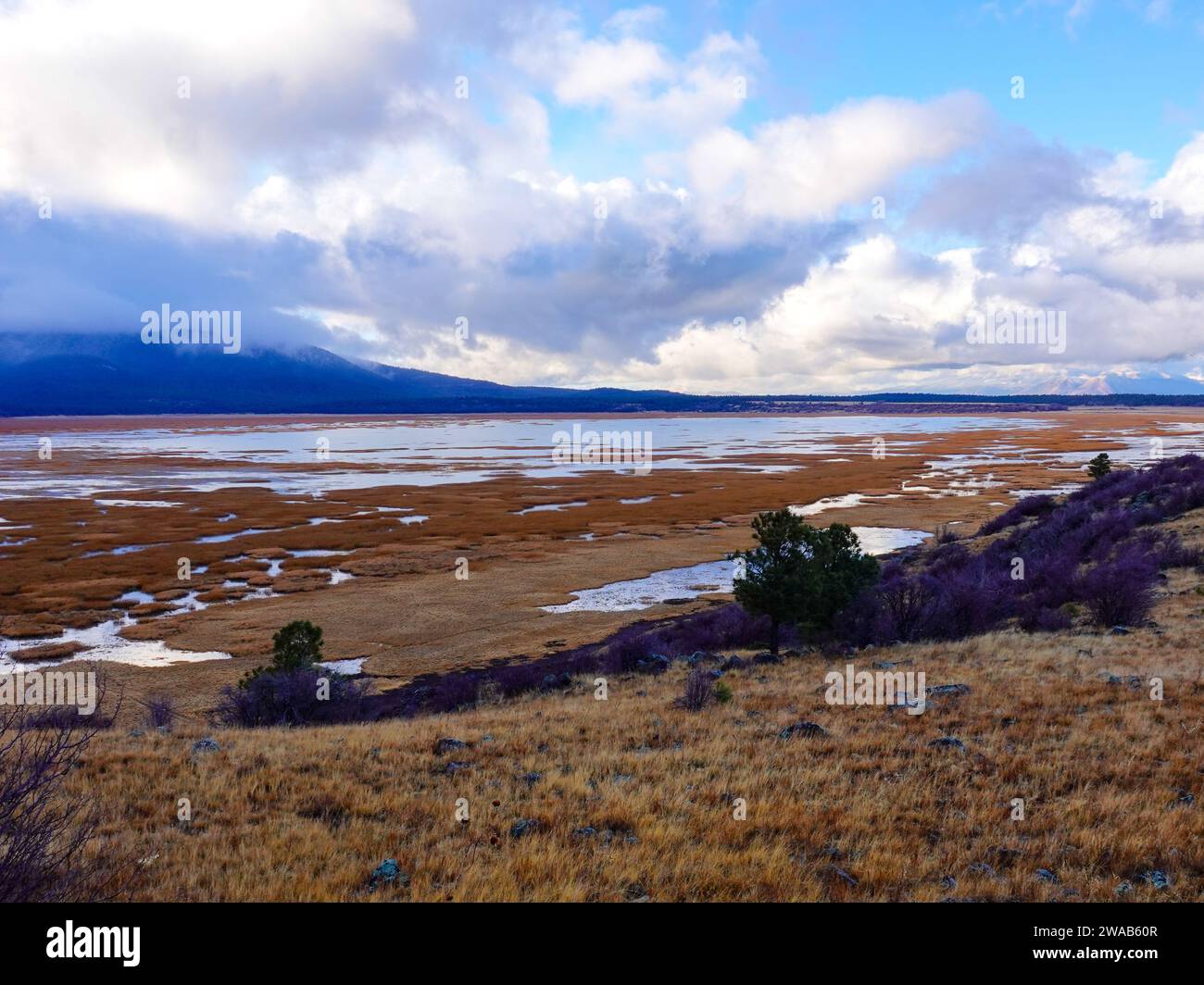 Mormon lake arizona hi-res stock photography and images - Alamy