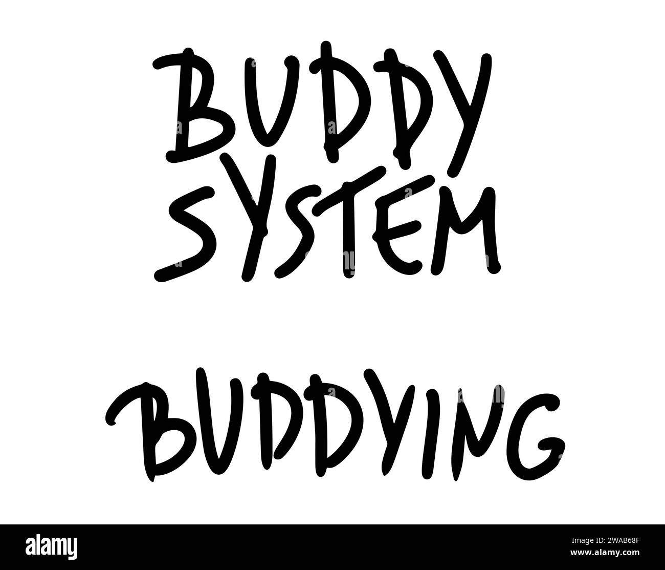 Buddy system, buddying lettering isolated on white background. Hand ...