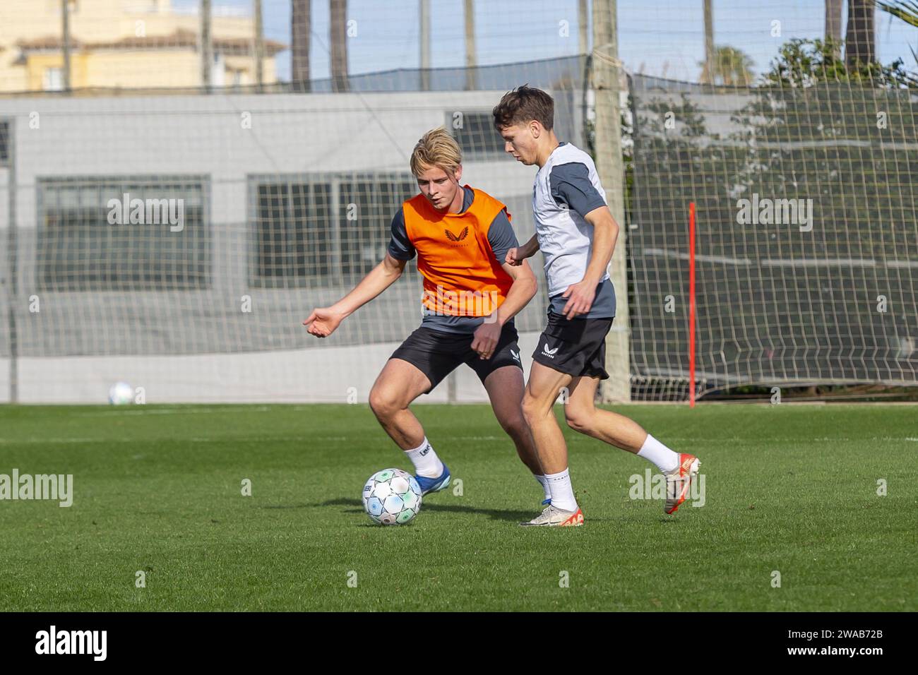 Harrie kuster hi-res stock photography and images - Alamy