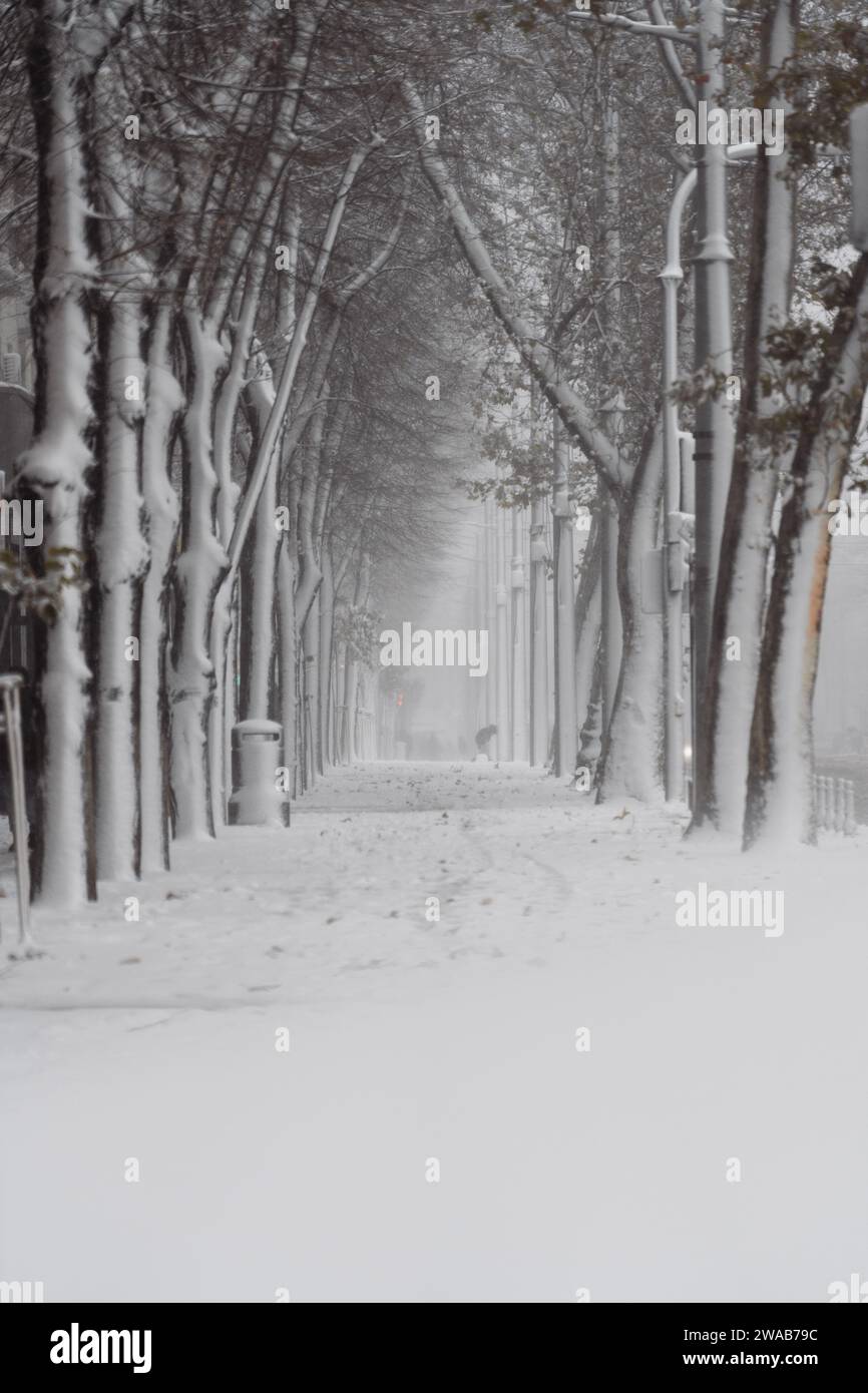 City street under the snow during snow blizzard in winter Stock Photo ...