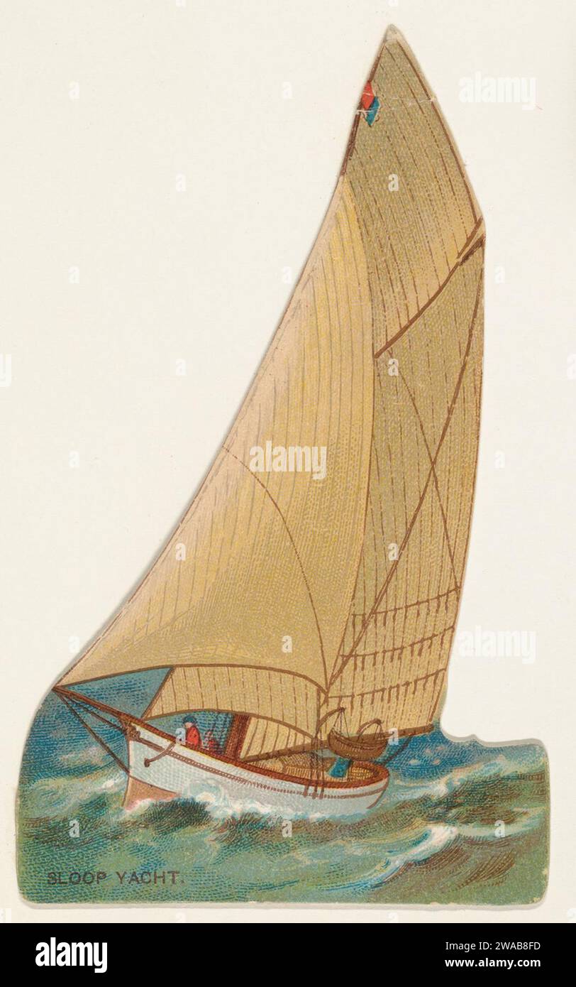 The Types Of Vessels