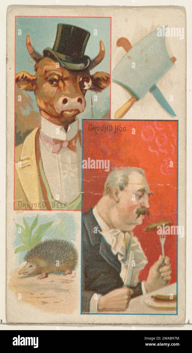 Dressed Beef / Ground Hog, from the Jokes series (N118) issued by Duke ...