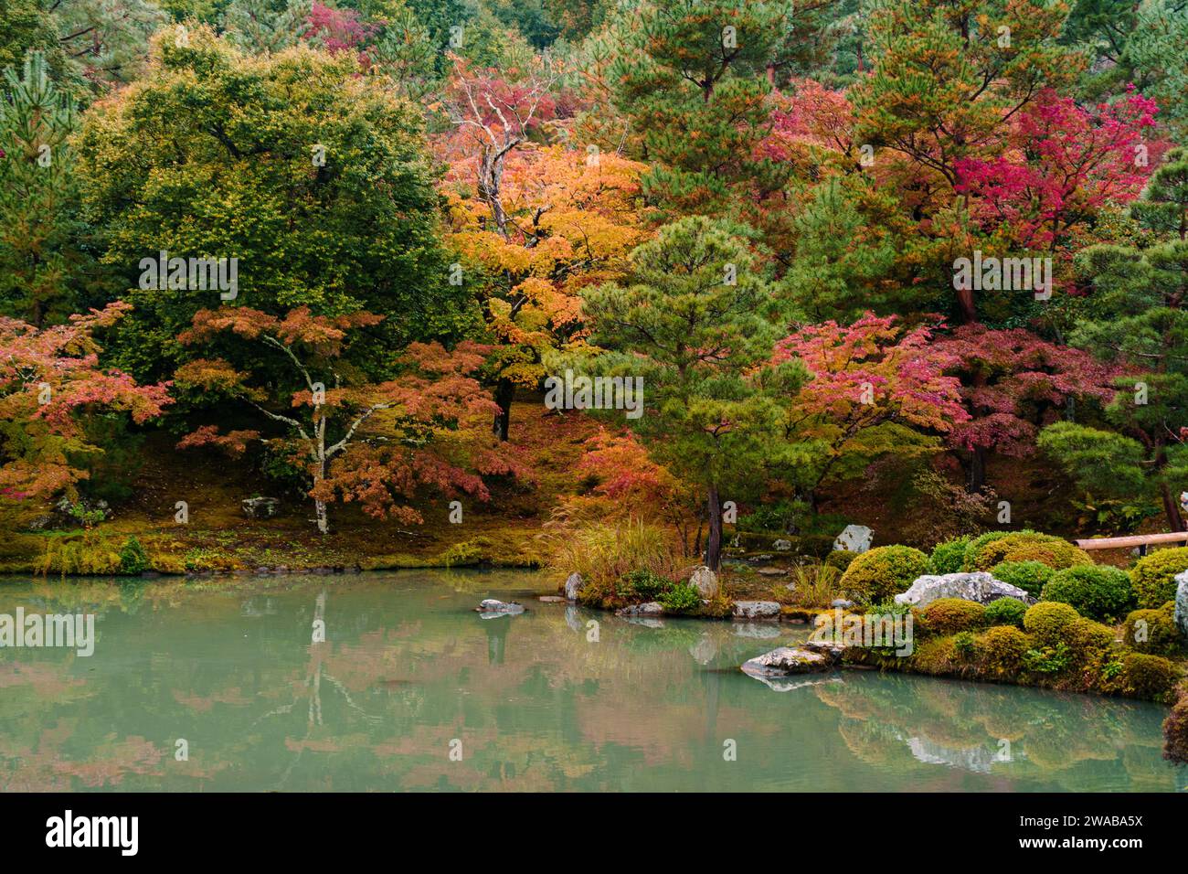 Sogenchi Pond Garden at Tenryu Ji, Kyoto Japan Stock Photo - Alamy